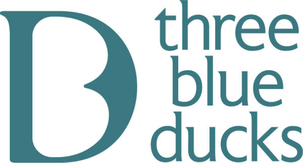 Three Blue Ducks - Festival